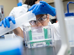 Biochemistry Degrees | University of Tampa