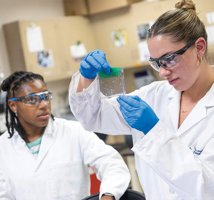 Department of Biology | University of Tampa