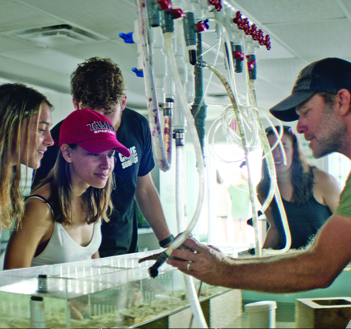 Bachelor of Science in Marine Science-Biology Degree | University of Tampa