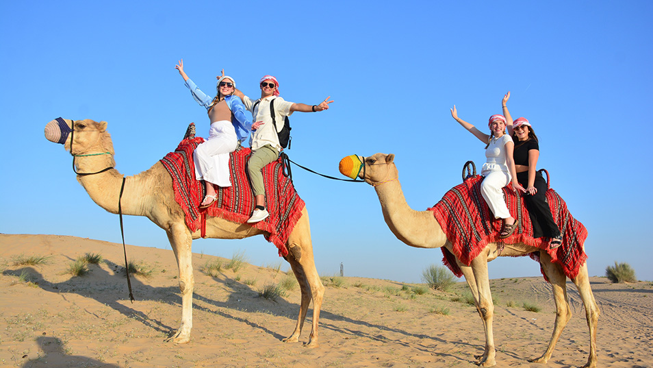 The University of Tampa - News - UT Life - Class Requirement Leads ...